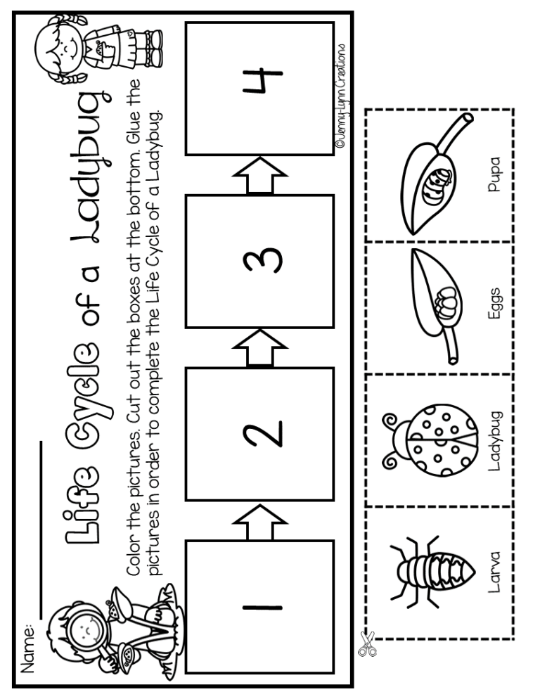 Kindergarten May Math & Literacy - Made By Teachers