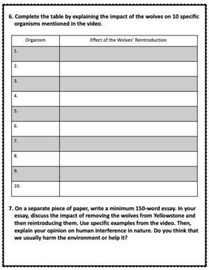 "How Wolves Change Rivers" Video Guide - Made By Teachers