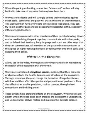 "How Wolves Change Rivers" Video Guide - Made By Teachers