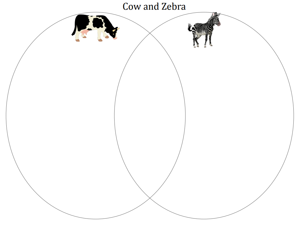 *No Prep* Compare & Contrast Venn Diagram Lesson | Made By Teachers
