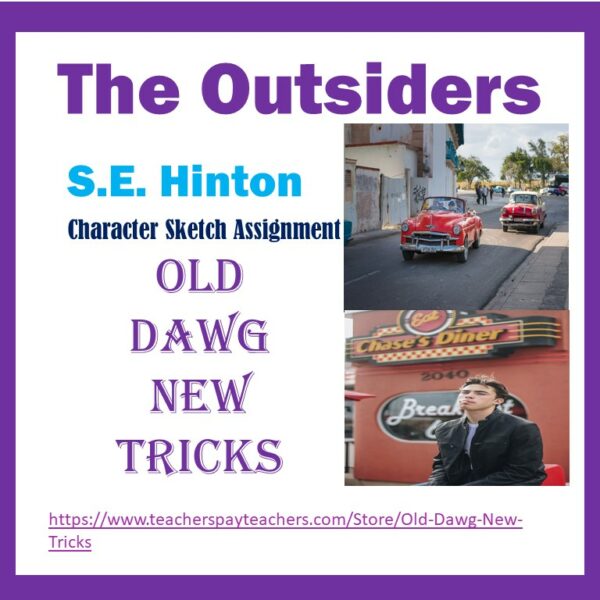 The Outsiders Character Sketch Assignment | Made By Teachers