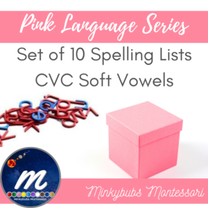 CVC Words Pink Language 10 Spelling Lists | Made By Teachers
