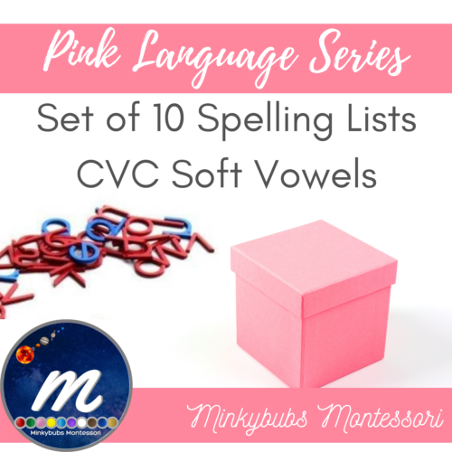 CVC Words Pink Language 10 Spelling Lists | Made By Teachers