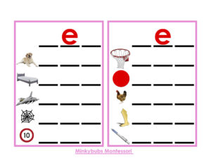 CVC Words Pink Language 10 Spelling Lists | Made By Teachers