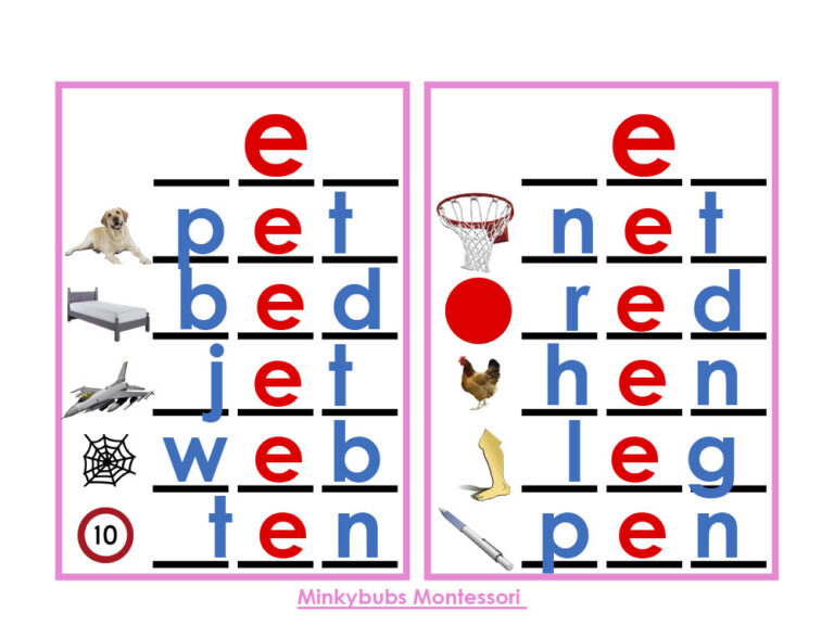 CVC Words Pink Language 10 Spelling Lists | Made By Teachers