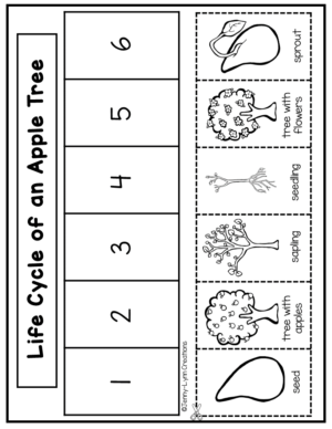 Pre-K Monthly Math & Literacy Bundle - Made By Teachers