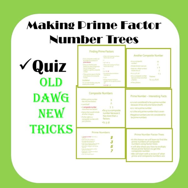 Making Prime Factor Trees Quiz - Made By Teachers