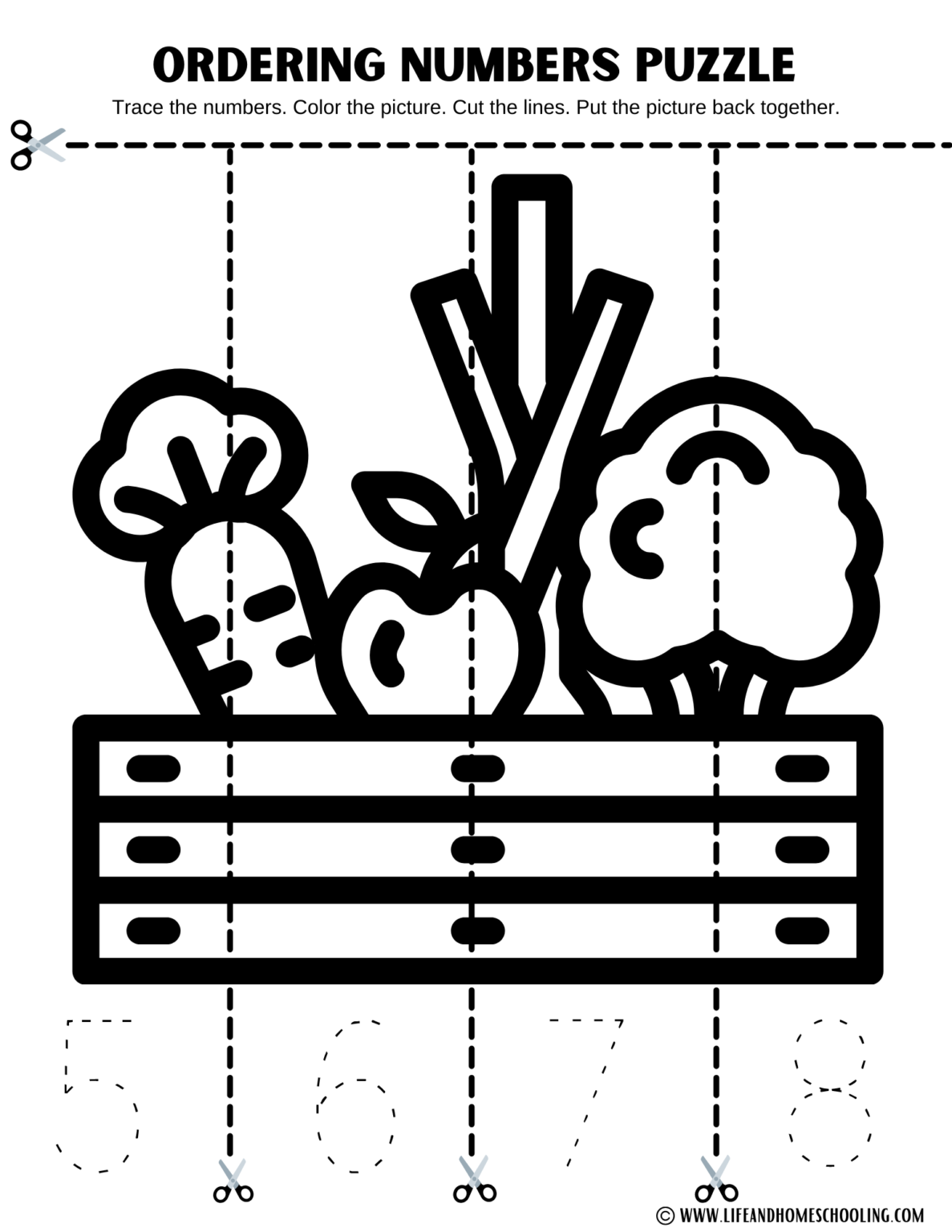 Preschool Math (Tall/Short) - Made By Teachers