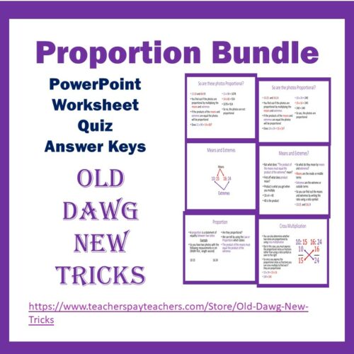 Proportion Bundle | Made By Teachers