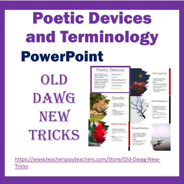Poetic Devices and Terminology PowerPoint - Made By Teachers