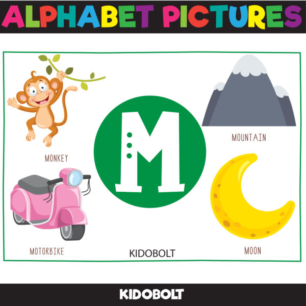 Alphabet Picture Cards | Made By Teachers