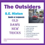 The Outsiders Bundle - Made By Teachers