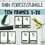 Rain Forest Ten Frame Number 0-20 - Made By Teachers