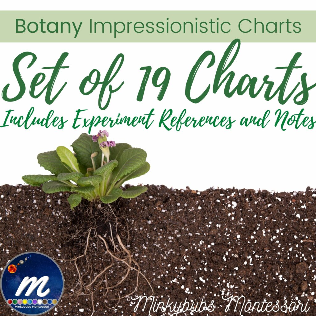 Botany Charts Impressionistic Montessori - Made By Teachers