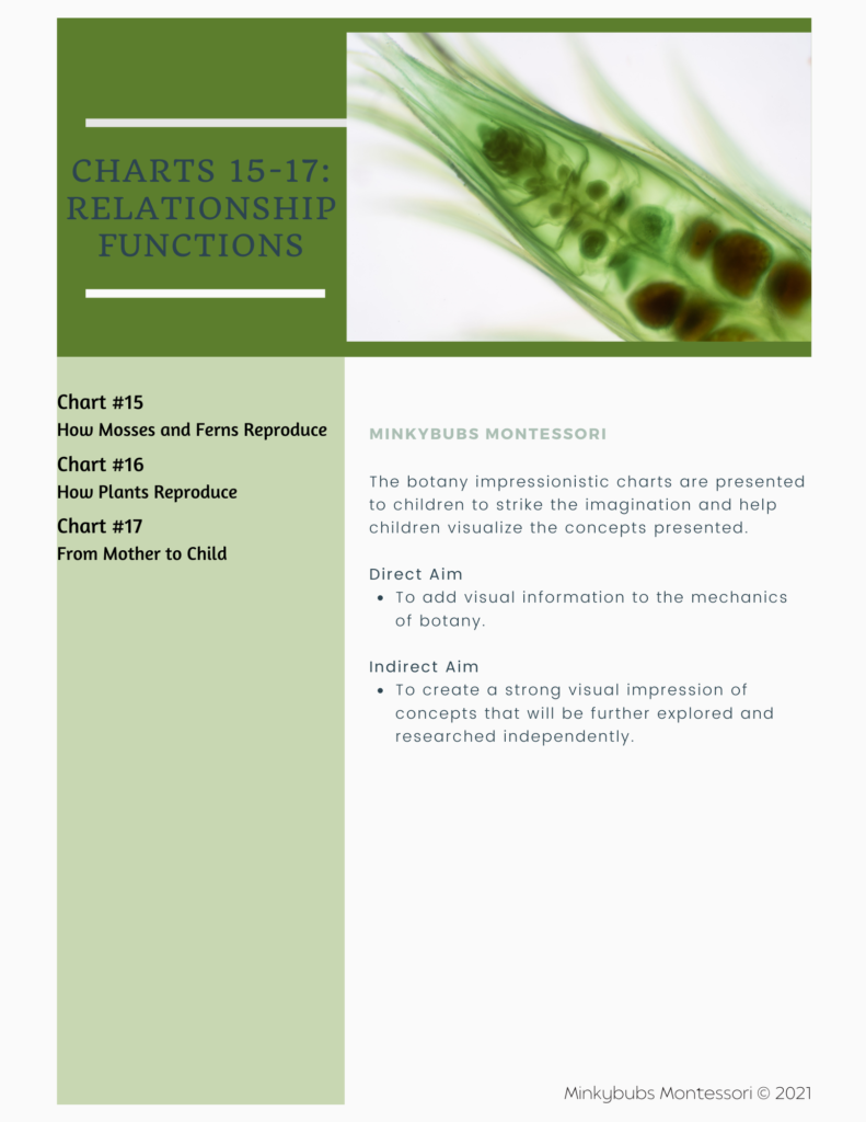 Botany Charts Impressionistic Montessori - Made By Teachers