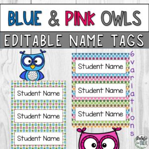 Blue & Pink Owl Editable Printable Name Tags - Made By Teachers