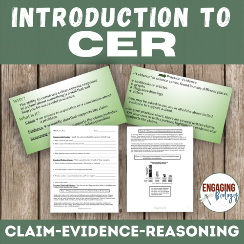 Downloadable Worksheets and Digital Teaching Resources | Made By Teachers