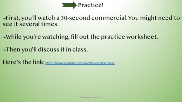 Introduction to CER | Made By Teachers