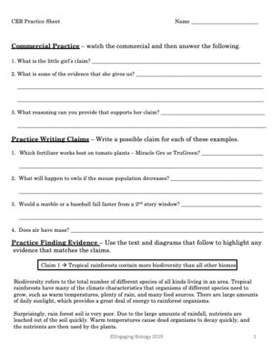 Introduction to CER | Made By Teachers