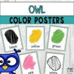 Blue & Pink Owl Printable Color Poster Signs - Made By Teachers