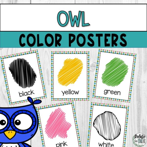 Blue & Pink Owl Printable Color Poster Signs - Made By Teachers