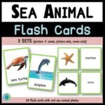 Ocean Animals Sea Animals Flashcards Real Photos - Made By Teachers