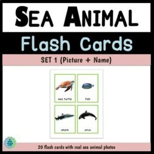Ocean Animals Sea Animals Flashcards Real Photos - Made By Teachers