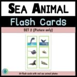 Ocean Animals Sea Animals Flashcards Real Photos - Made By Teachers