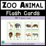 Zoo Animals Flashcards Real Photos - Made By Teachers