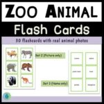 Zoo Animals Flashcards Real Photos - Made By Teachers