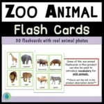 Zoo Animals Flashcards Real Photos - Made By Teachers