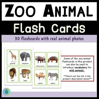 Zoo Animals Flashcards Real Photos | Made By Teachers