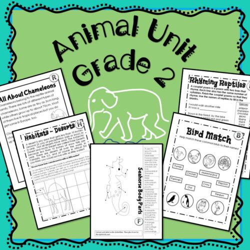 Animal Unit (Habitats, Mammals, Reptiles, Amphibians) | Made By Teachers