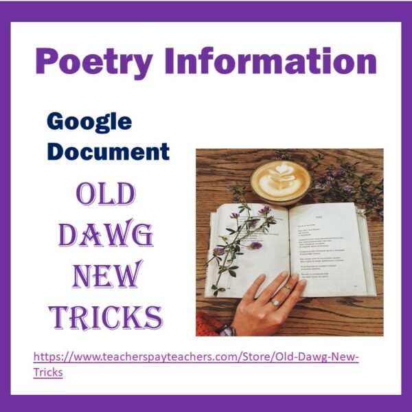 Poetry Information Google Doc Sheet | Made By Teachers