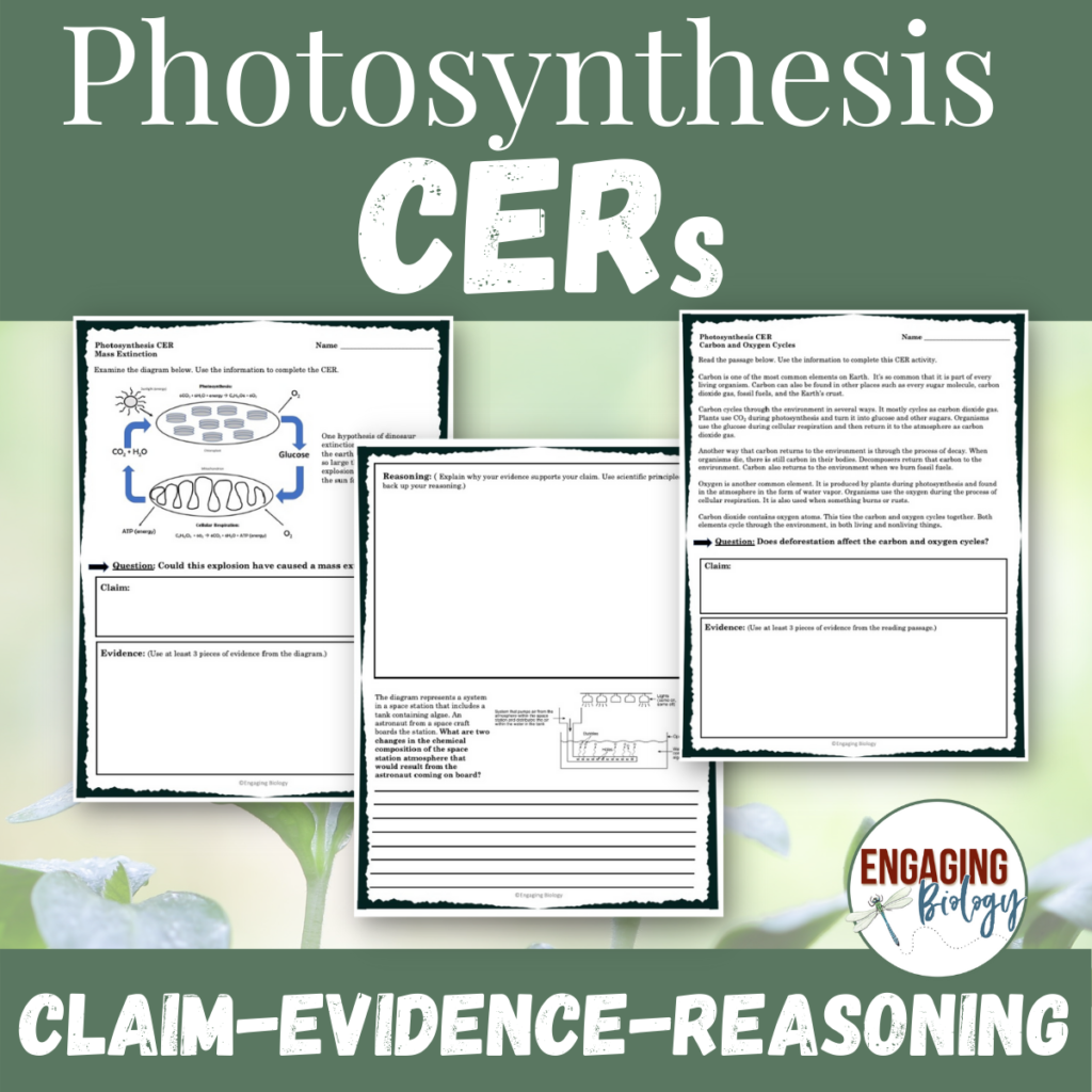 Ecology CERs | Made By Teachers