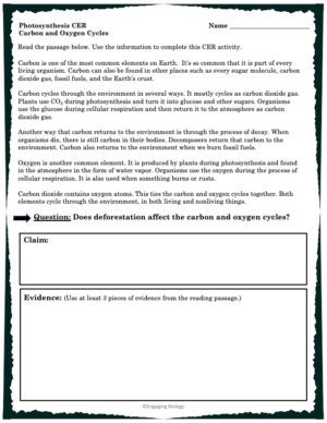 Photosynthesis CERs | Made By Teachers
