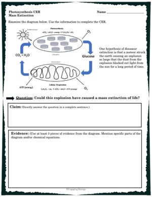 Photosynthesis CERs - Made By Teachers