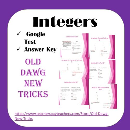 Integers Unit Google Doc Test | Made By Teachers