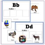 My Alphabet Book (REAL IMAGES) - Made By Teachers