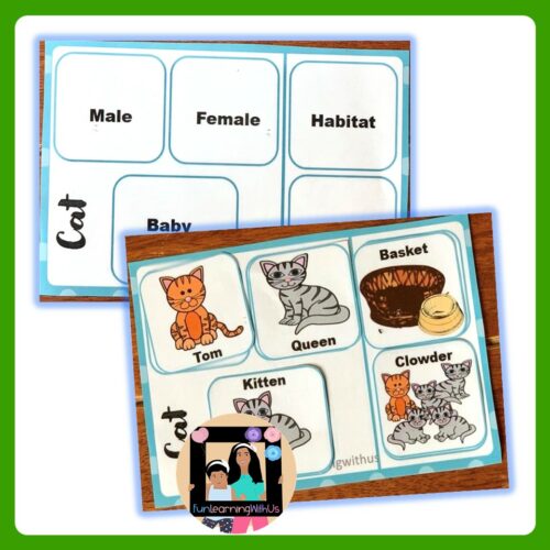 Farm Animals, Babies and their Habitat Sorting Mat | Made By Teachers