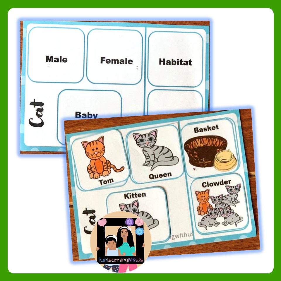 Farm Animals, Babies and their Habitat Sorting Mat | Made By Teachers