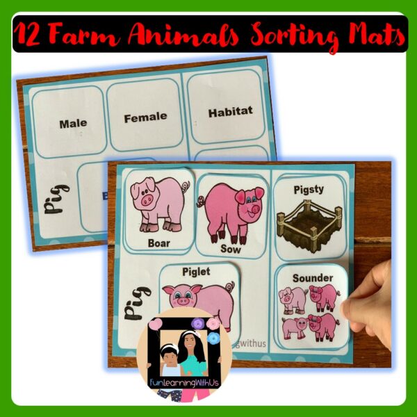 Farm Animals, Babies and their Habitat Sorting Mat | Made By Teachers