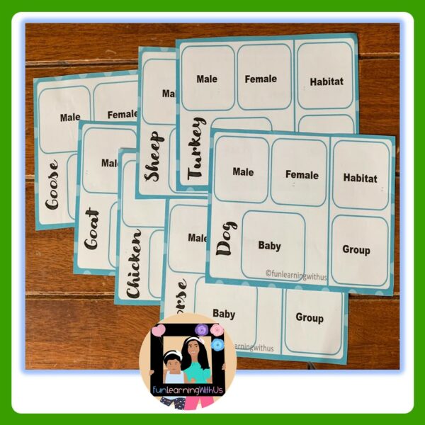 Farm Animals, Babies and their Habitat Sorting Mat | Made By Teachers