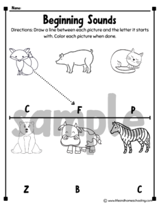 Phonics Beginning Sound Activity | Made By Teachers