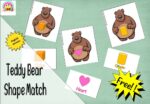 Teddy Bear Sape Match - Made By Teachers