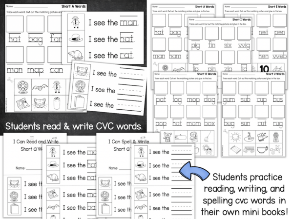 Read & Write CVC Words Worksheets and Centers - Made By Teachers