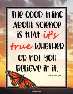 Inspirational Science Posters - Made By Teachers