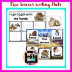 Sorting Mats for Centers for Preschool and Kinders - Made By Teachers