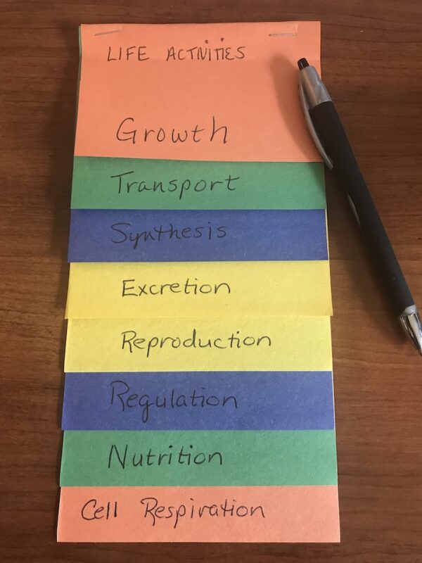 Characteristics of Life Activities Foldable Review - Made By Teachers