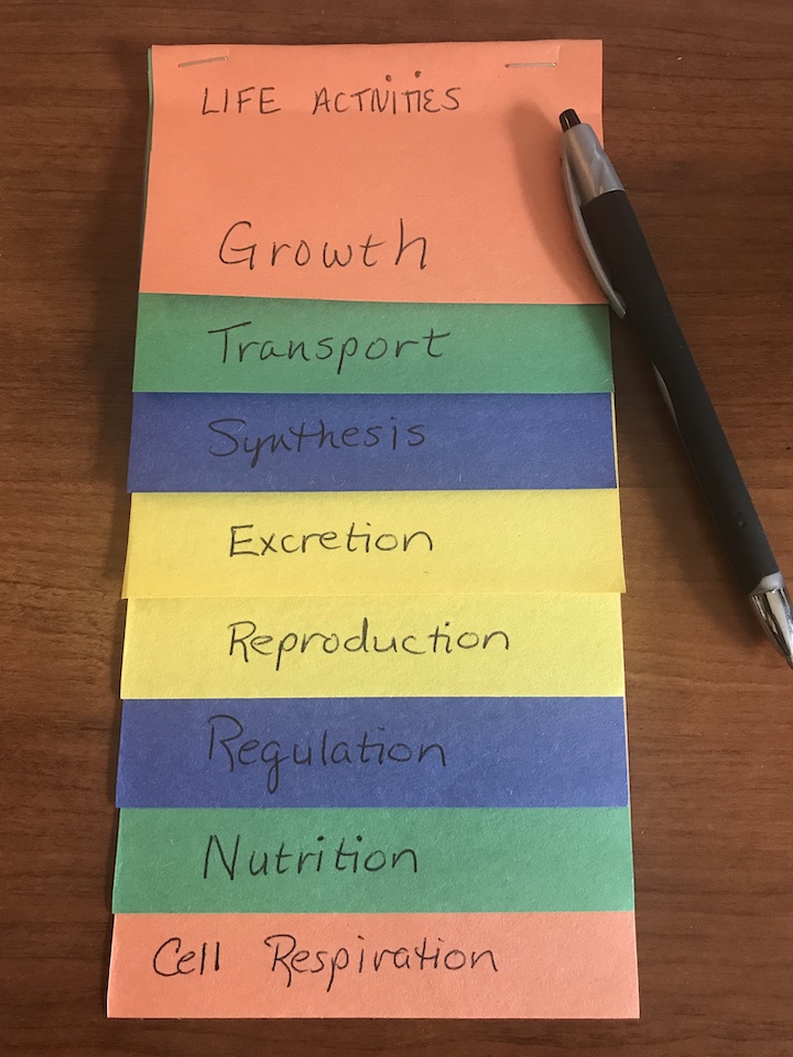 Characteristics of Life Activities Foldable Review | Made By Teachers